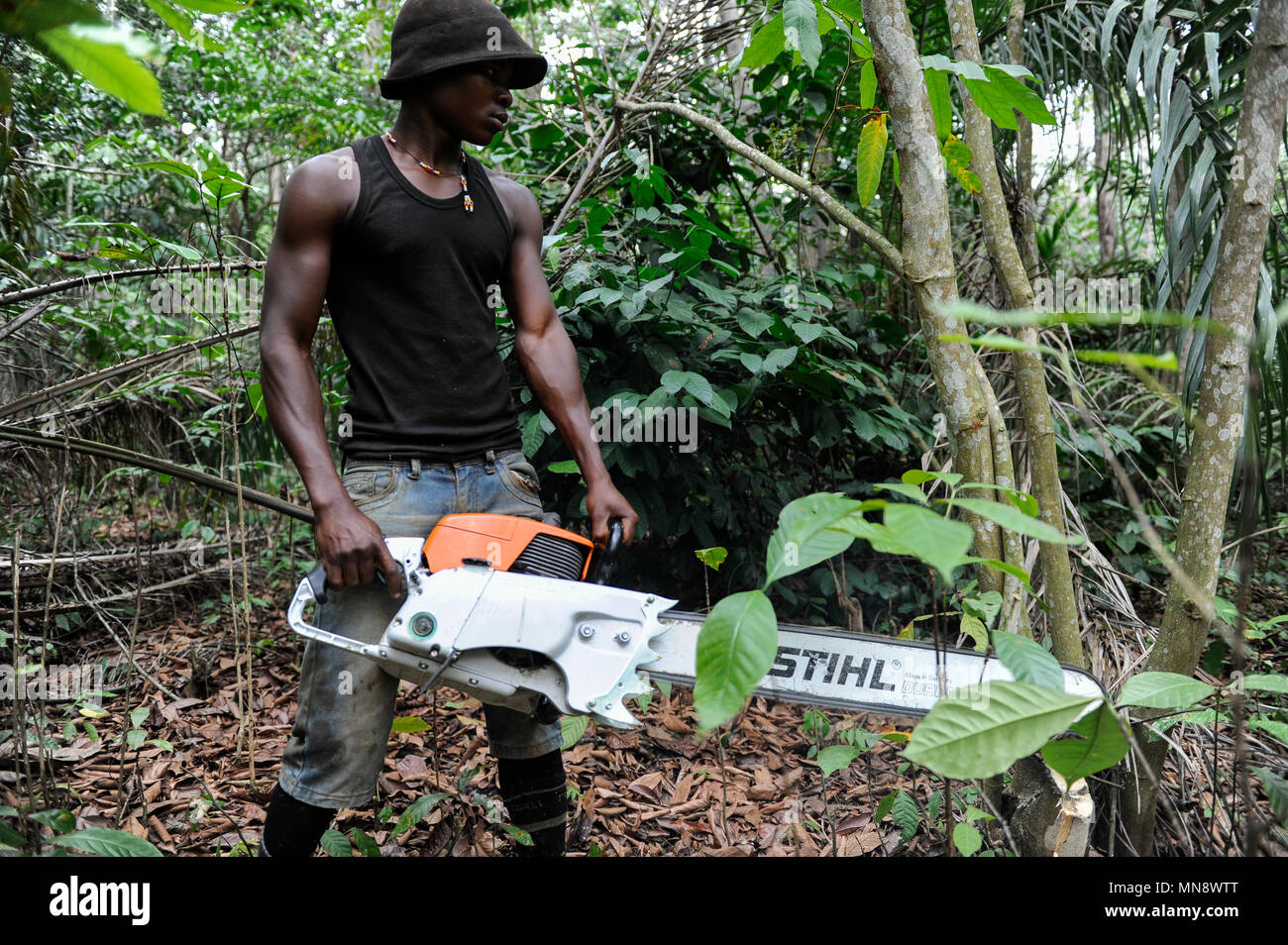 ANGOLA Calulo, ancienne plantation de café allemand, déforestation ...