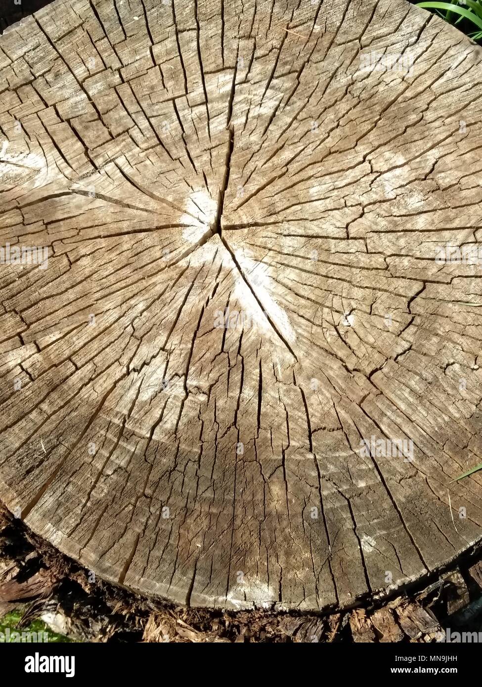 Country and western Banque de photographies et d’images à haute ...