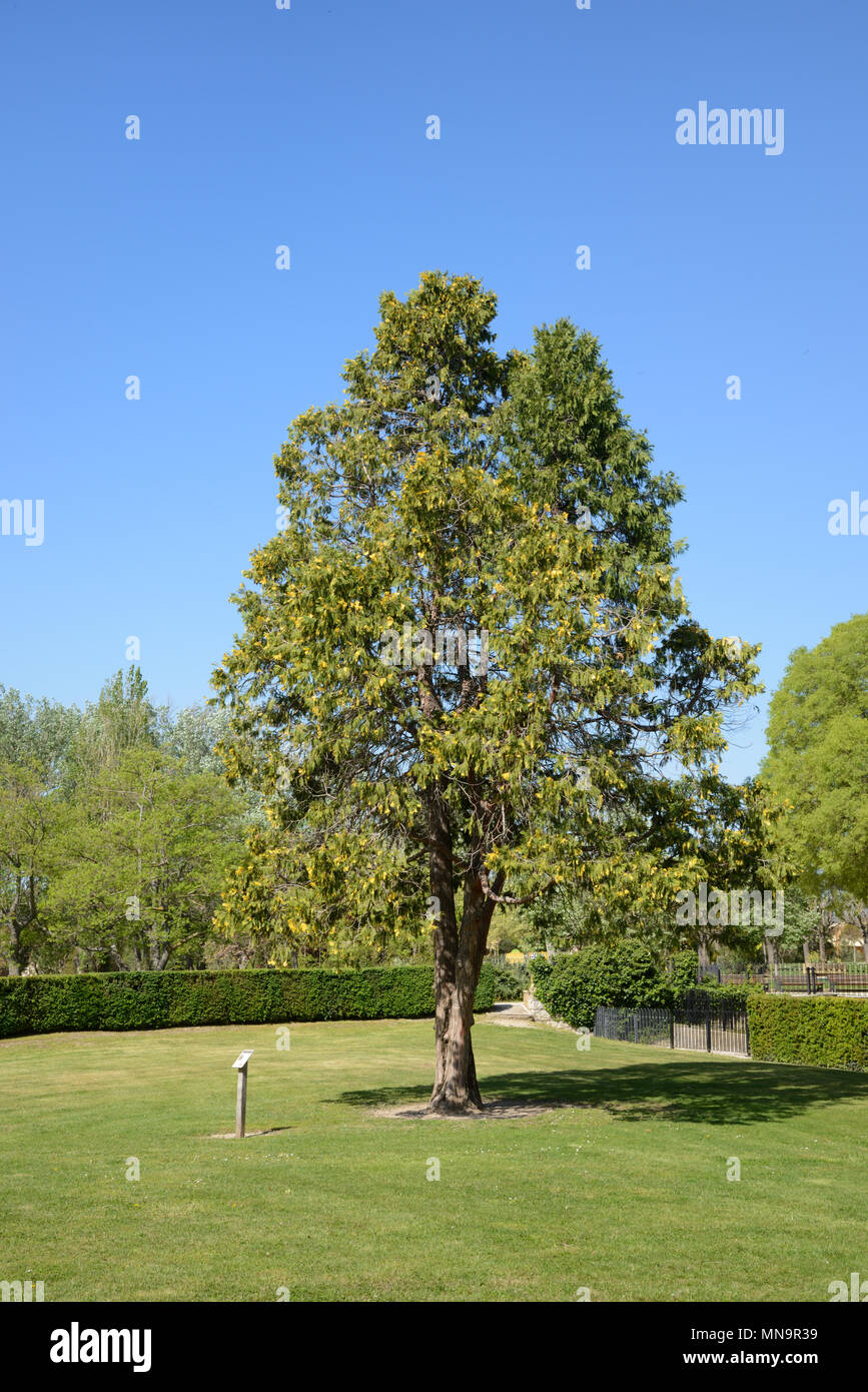 Parc saint mitre Banque de photographies et d’images à haute résolution ...