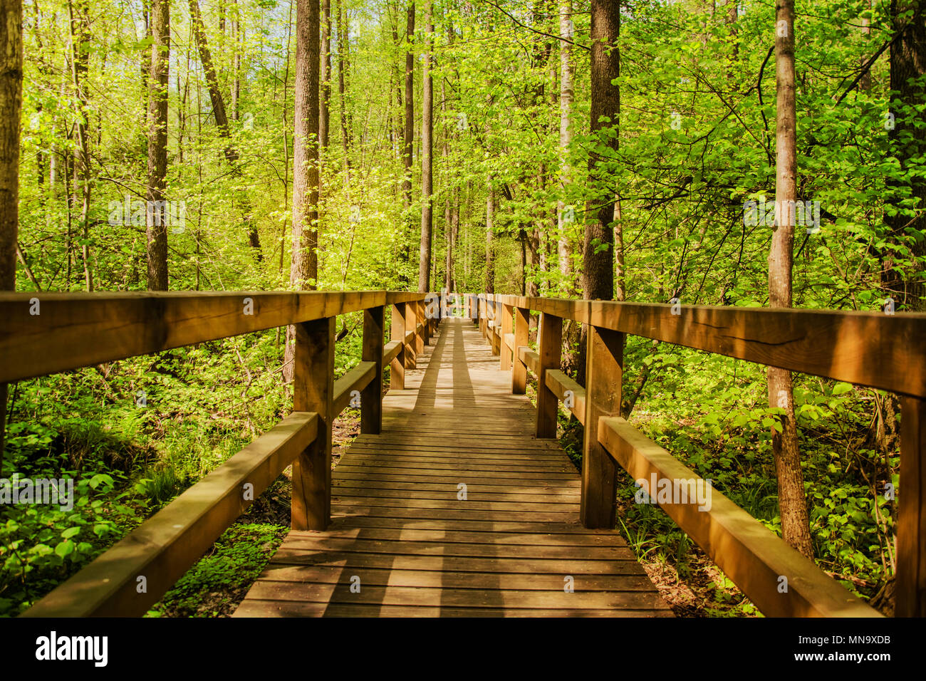 Pont au milieu Banque de photographies et d’images à haute résolution ...