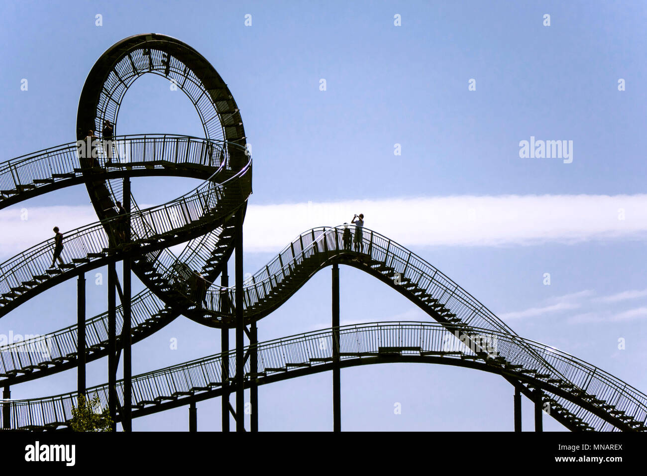Tiger and turtle Banque de photographies et d’images à haute résolution ...