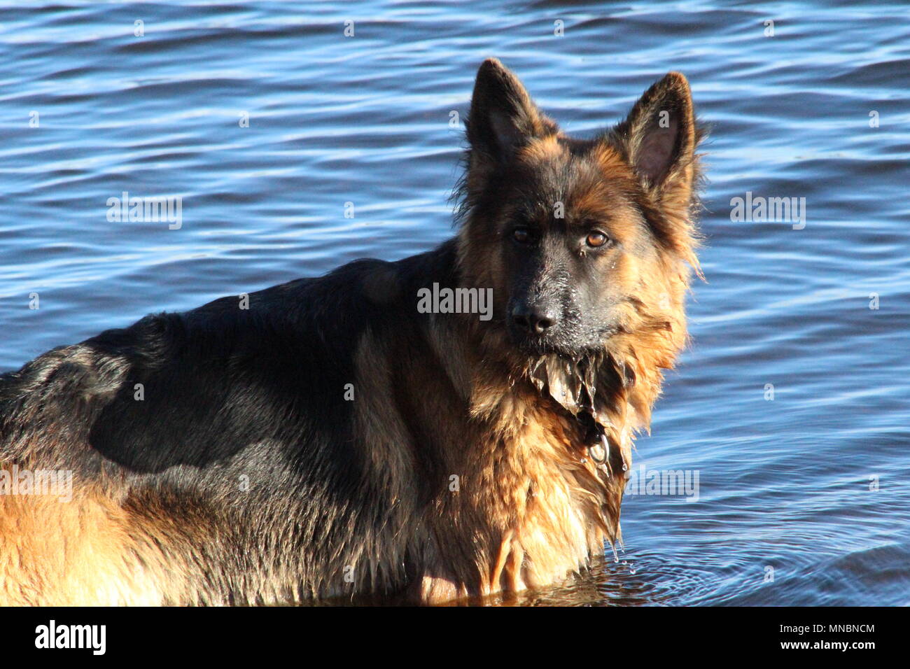 Image de fond pour les portraits Banque de photographies et d’images à haute résolution - Alamy