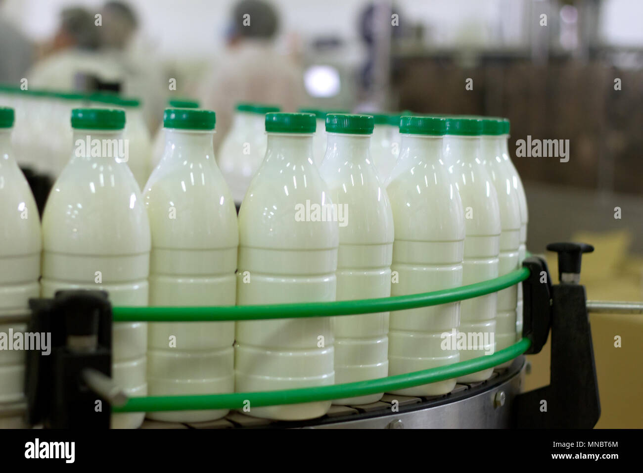 Usine de produits laitiers. Avec convoyeur de bouteilles de lait Photo ...