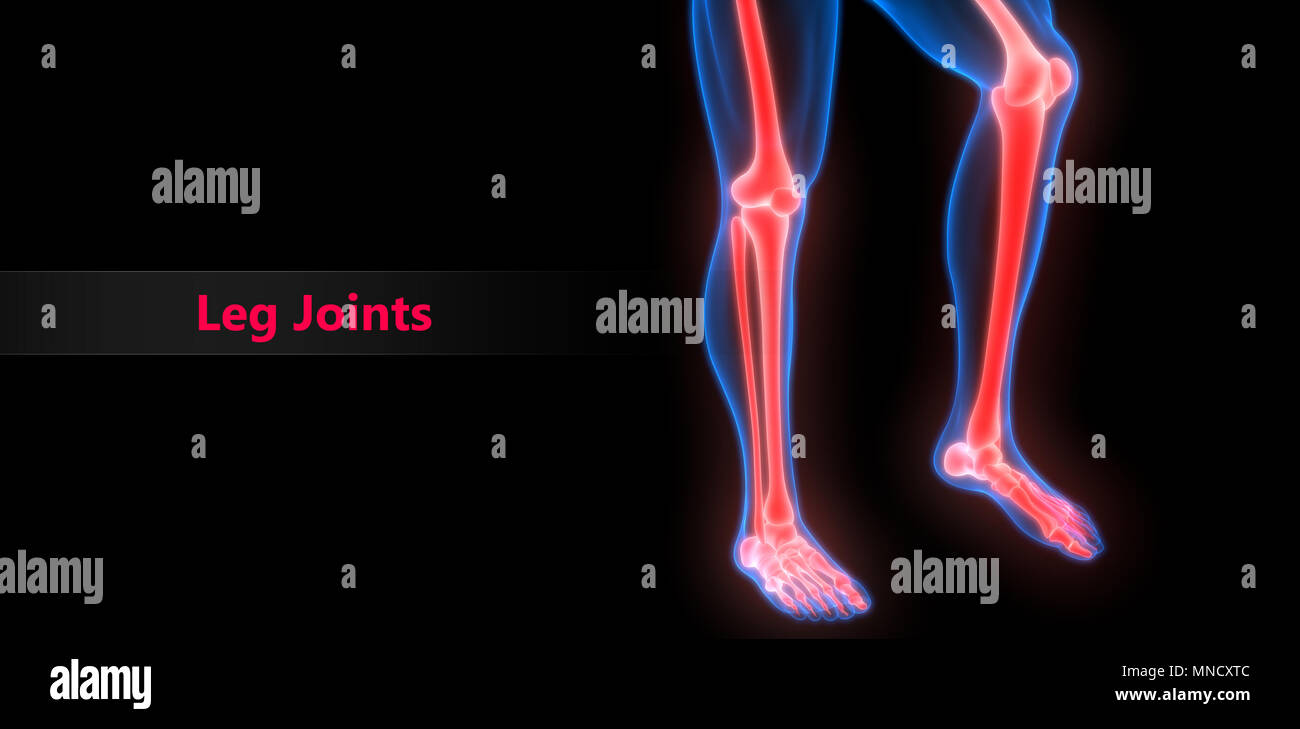 Système de squelette humain Anatomie des douleurs osseuses Photo Stock ...