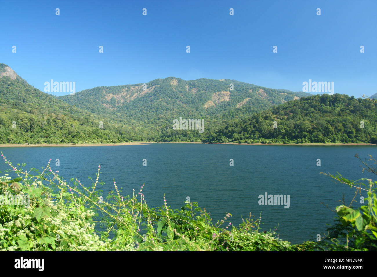 Barrage de la faune Banque de photographies et d’images à haute ...