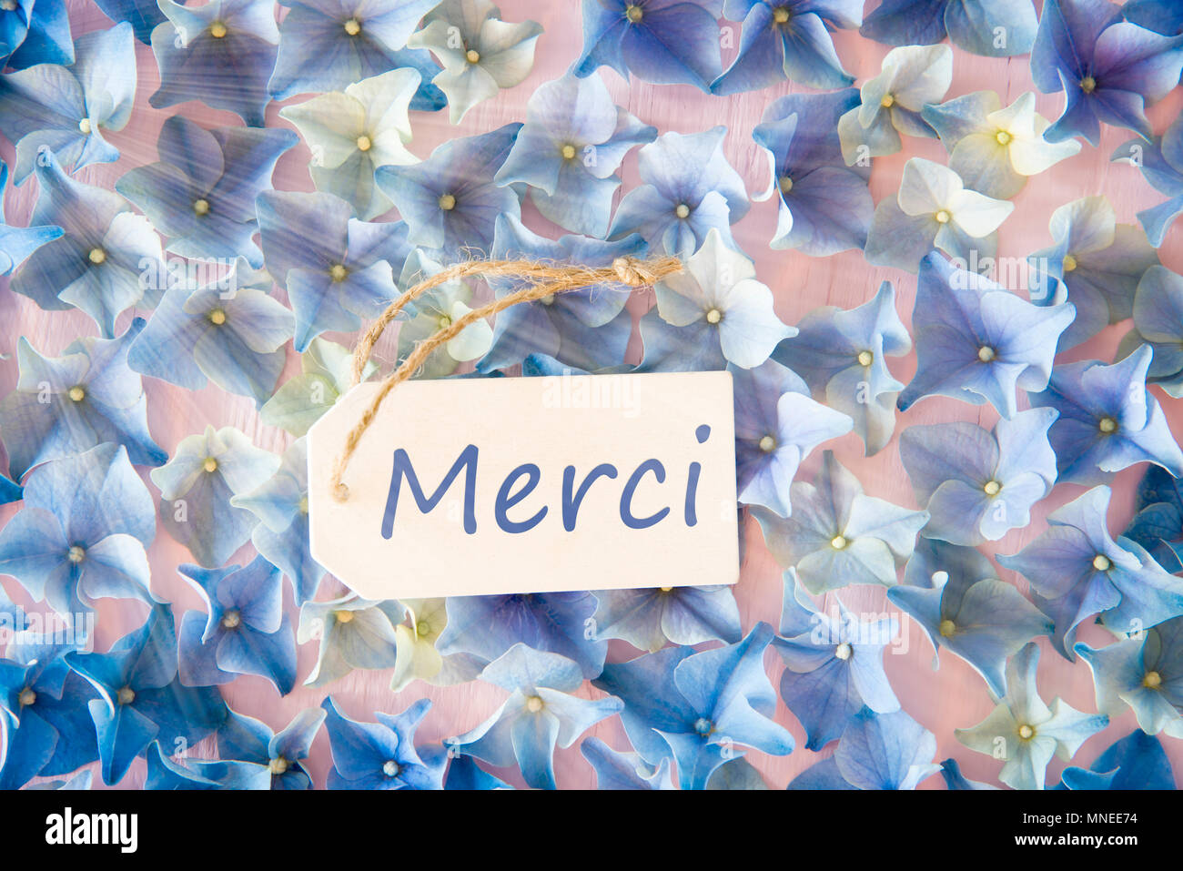 Purple label french word merci Banque de photographies et d’images à ...