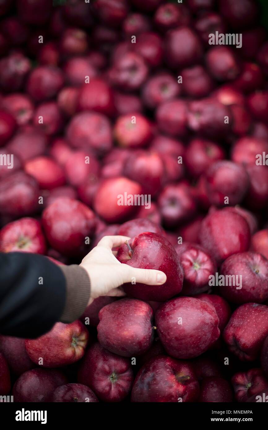Rougeurs sur les mains Banque de photographies et d’images à haute ...