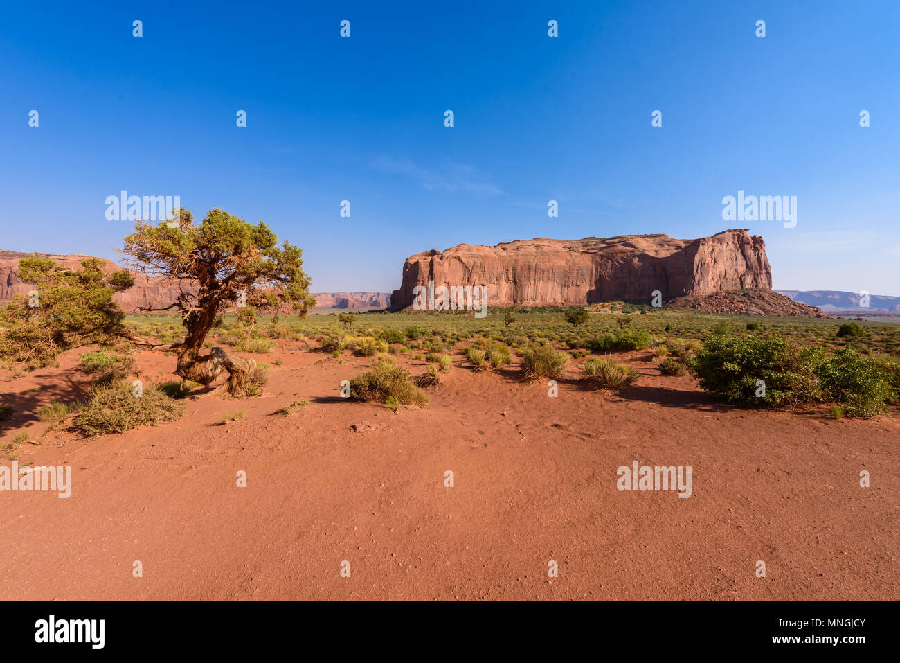 Scenic Drive sur chemin de terre par Monument Valley, le célèbre Buttes ...