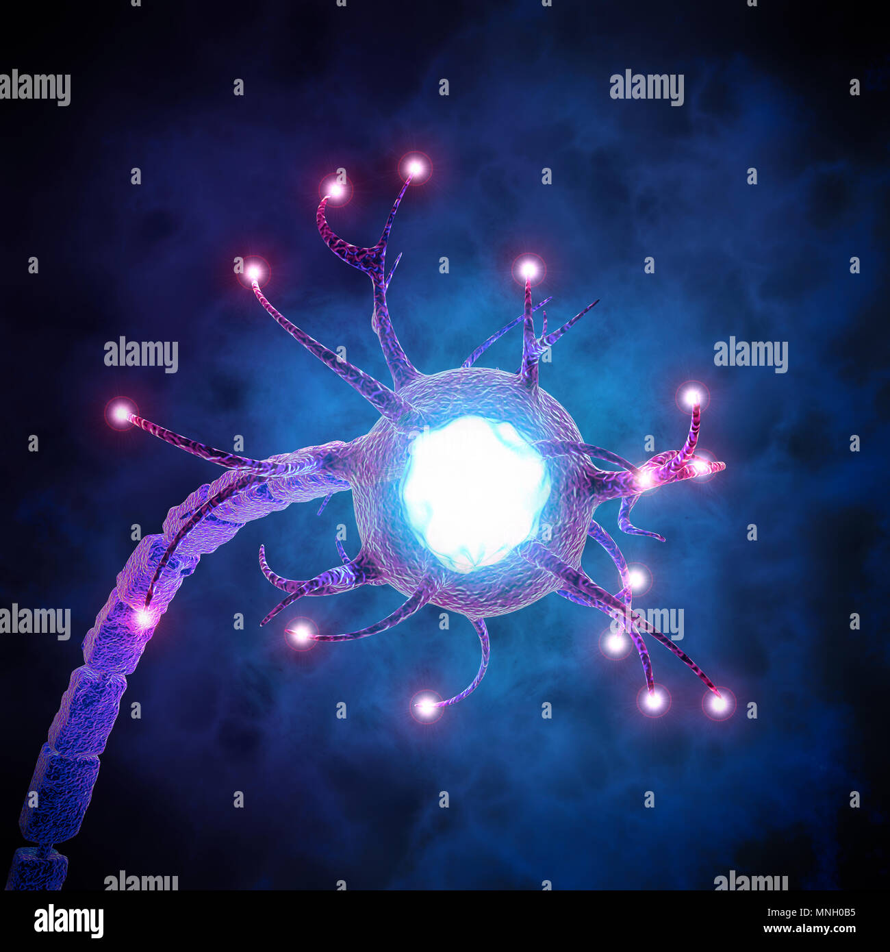 Synapse Est Une Structure Qui Permet à Un Neurone Cellule Nerveuse Ou