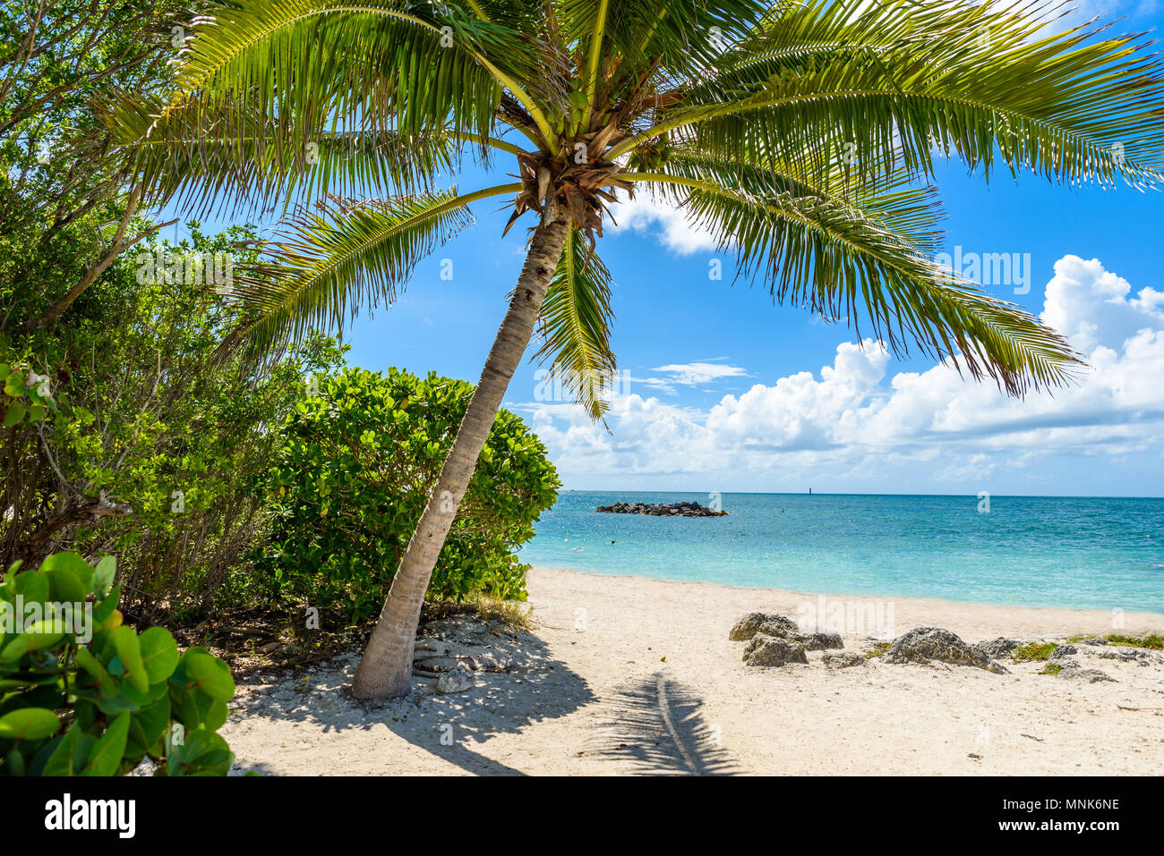 Key West Banque De Photographies Et D images Haute R solution Alamy Key West Banque De Photographies Et D images Haute R solution Alamy