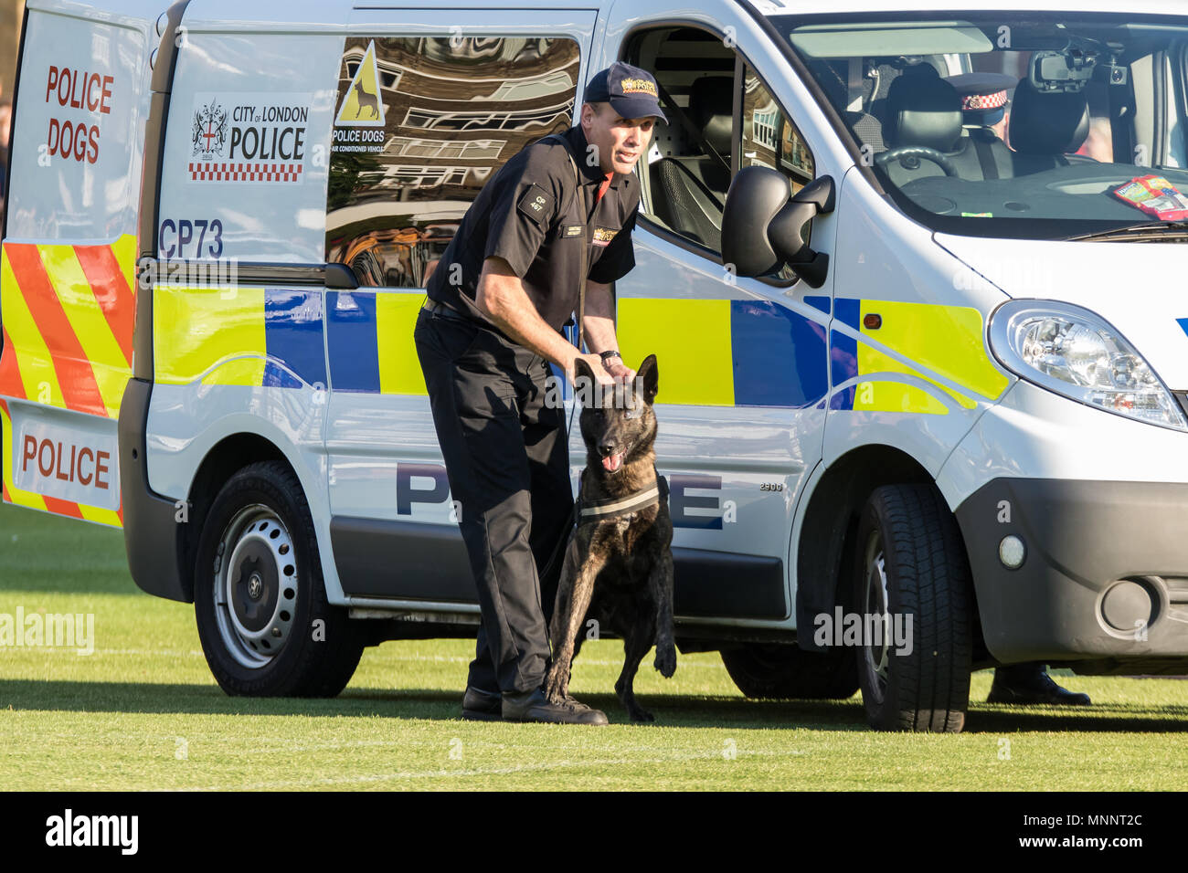 Police dog tracking dog Banque de photographies et d’images à haute ...
