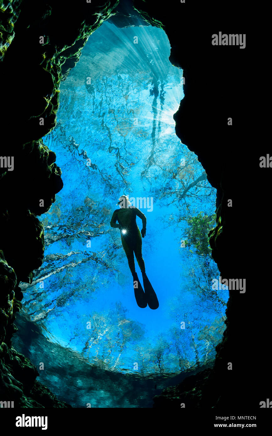 Oreille De Diables Banque d'image et photos - Alamy