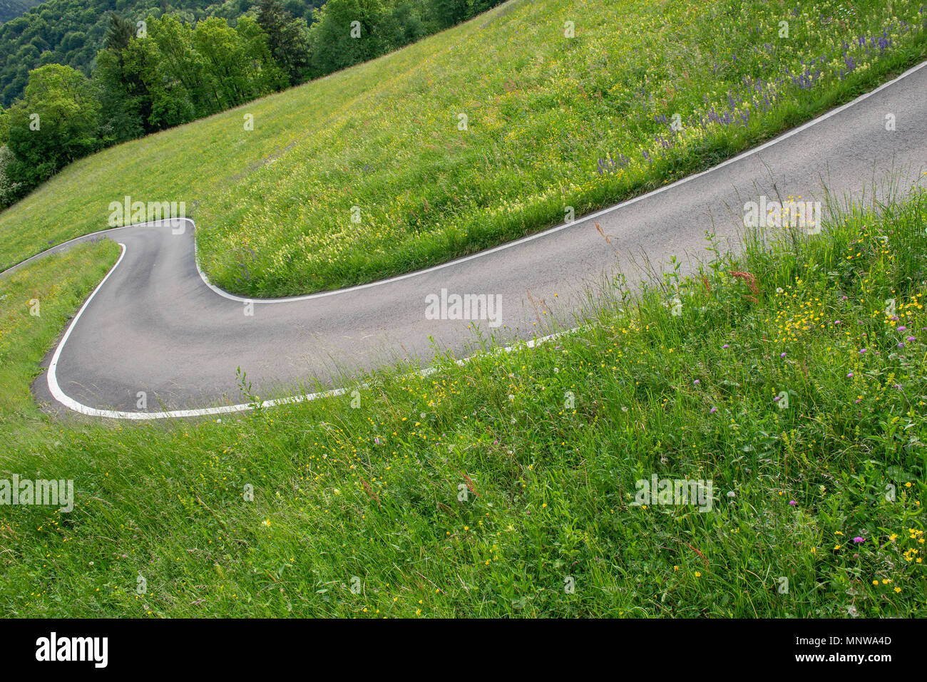 Montagne zoncolan Banque de photographies et d’images à haute ...