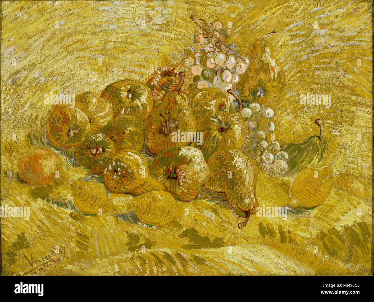 Coings citrons poires et raisins 1887 vincent van gogh Banque de ...