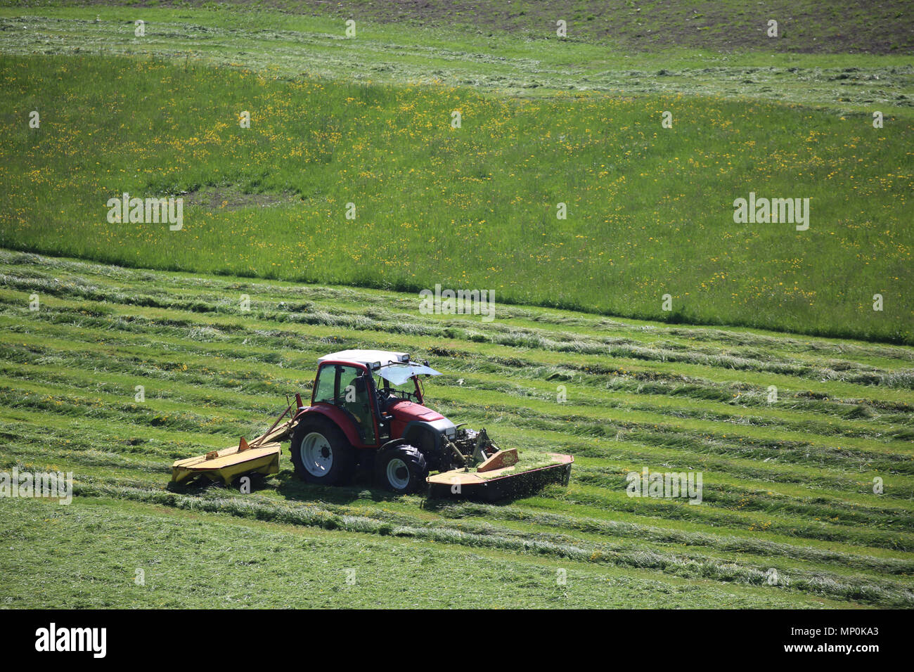 Champ agricole d'en haut Banque de photographies et d’images à haute ...