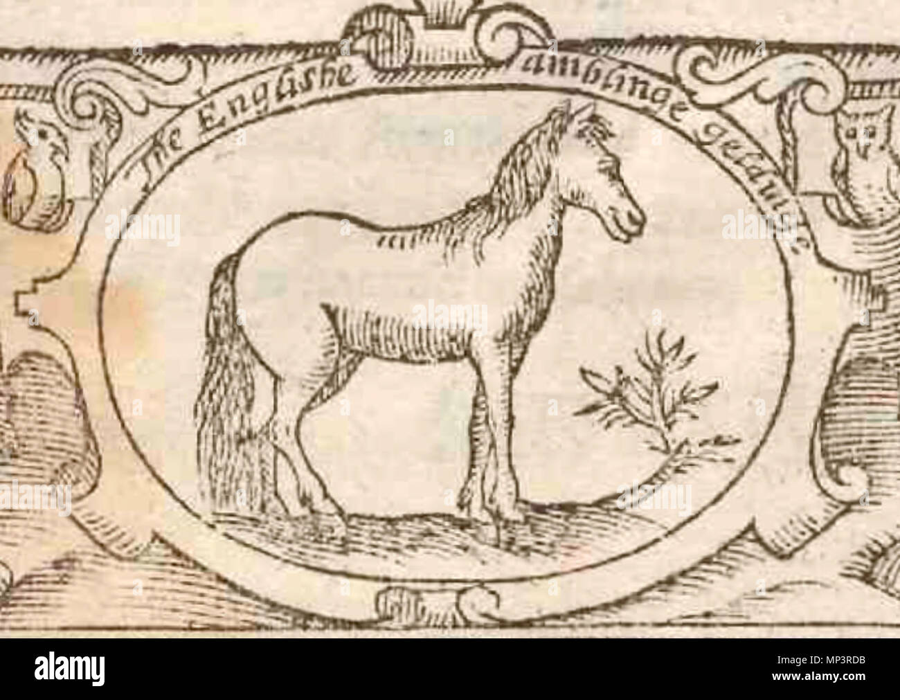 Page de titre du cavalier Banque de photographies et d’images à haute ...