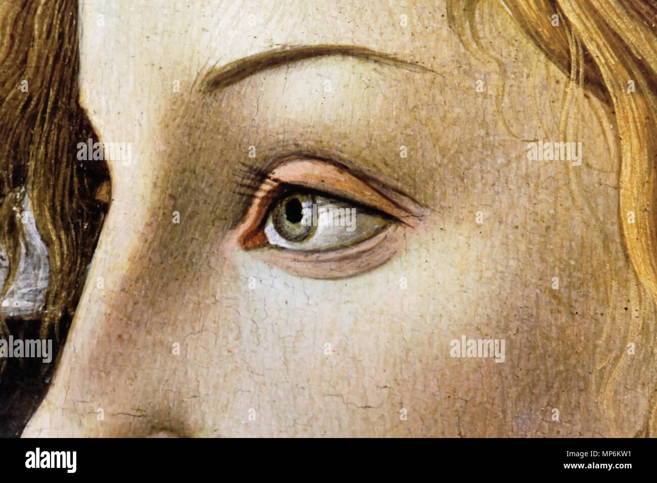 Venus Botticelli Banque De Photographies Et Dimages à Haute Résolution