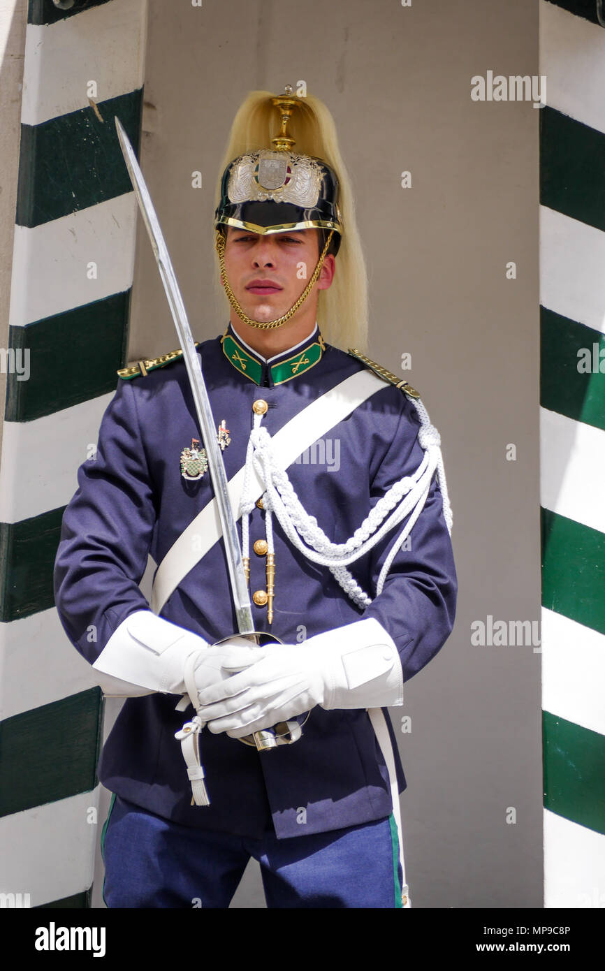 Soldat qui monte la garde au siège de la garde nationale républicaine ...