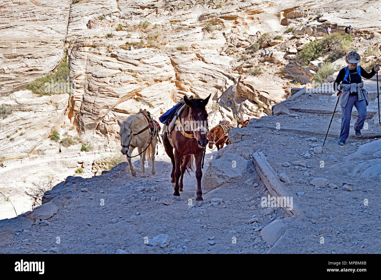 Supai trail Banque de photographies et d’images à haute résolution - Alamy