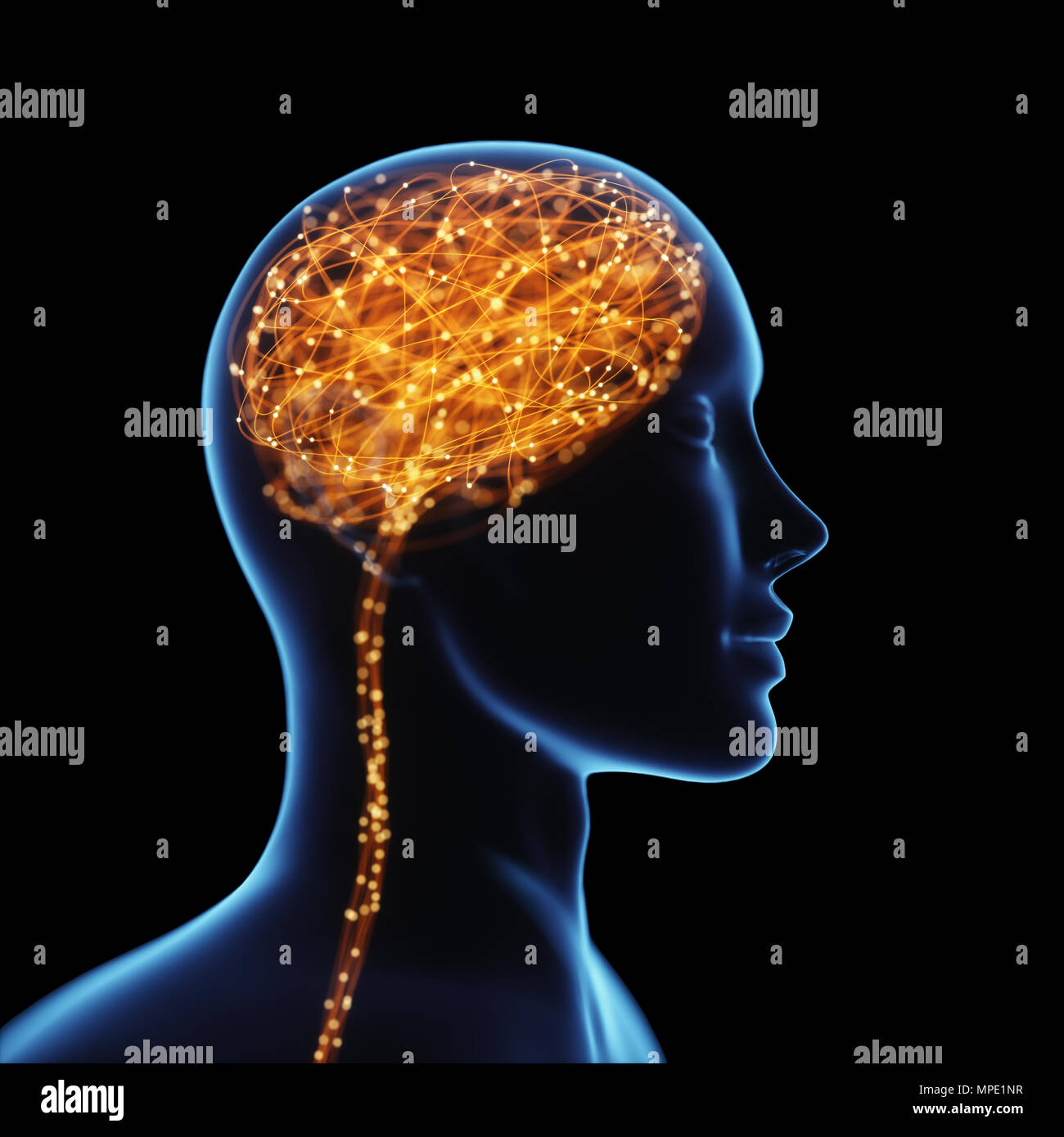 3D illustration. X-ray de la tête et cerveau humain en concept de ...