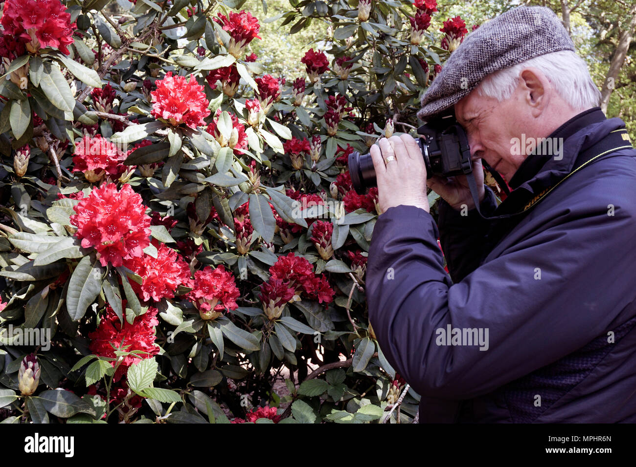 Amateur photographer Banque de photographies et d’images à haute résolution - Alamy