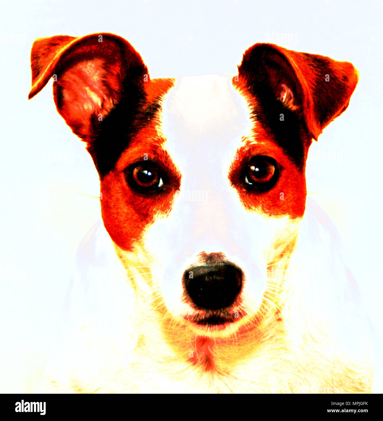 Te russell Banque de photographies et d’images à haute résolution - Alamy