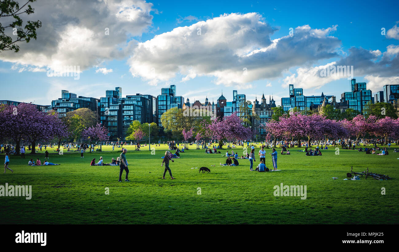 The meadows edinburgh Banque de photographies et d’images à haute ...