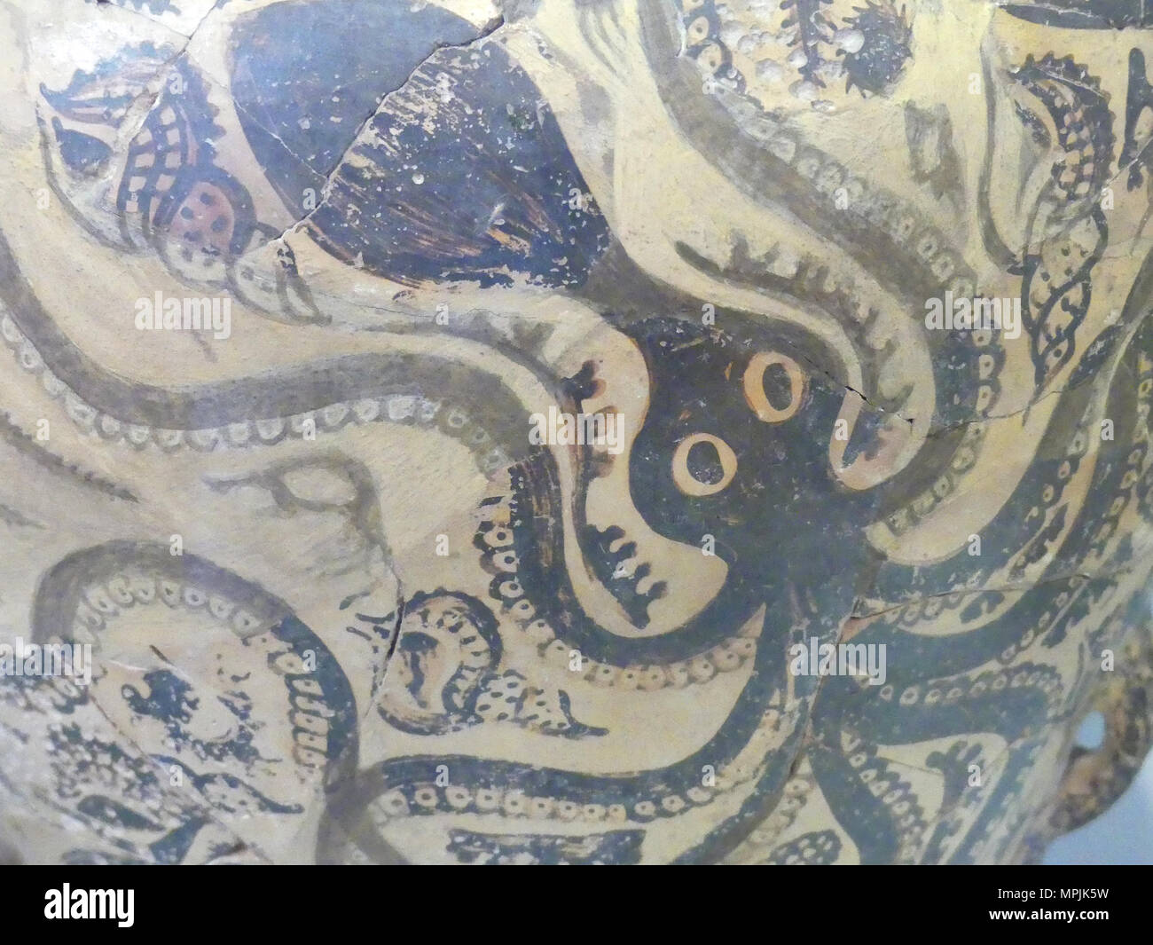 Octopus museum Banque de photographies et d’images à haute résolution ...