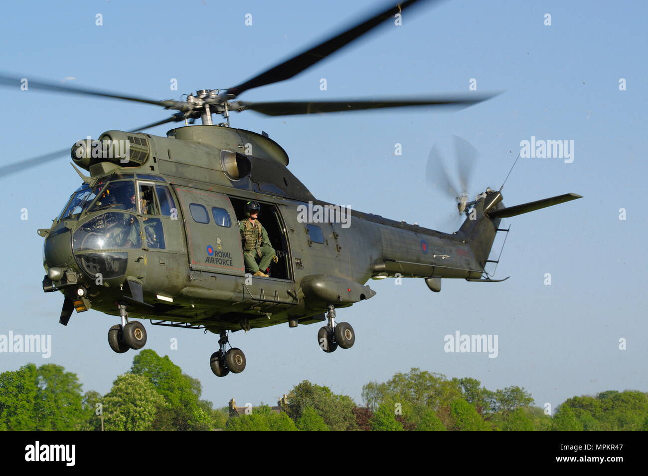 Puma sa330 Banque de photographies et d’images à haute résolution - Alamy