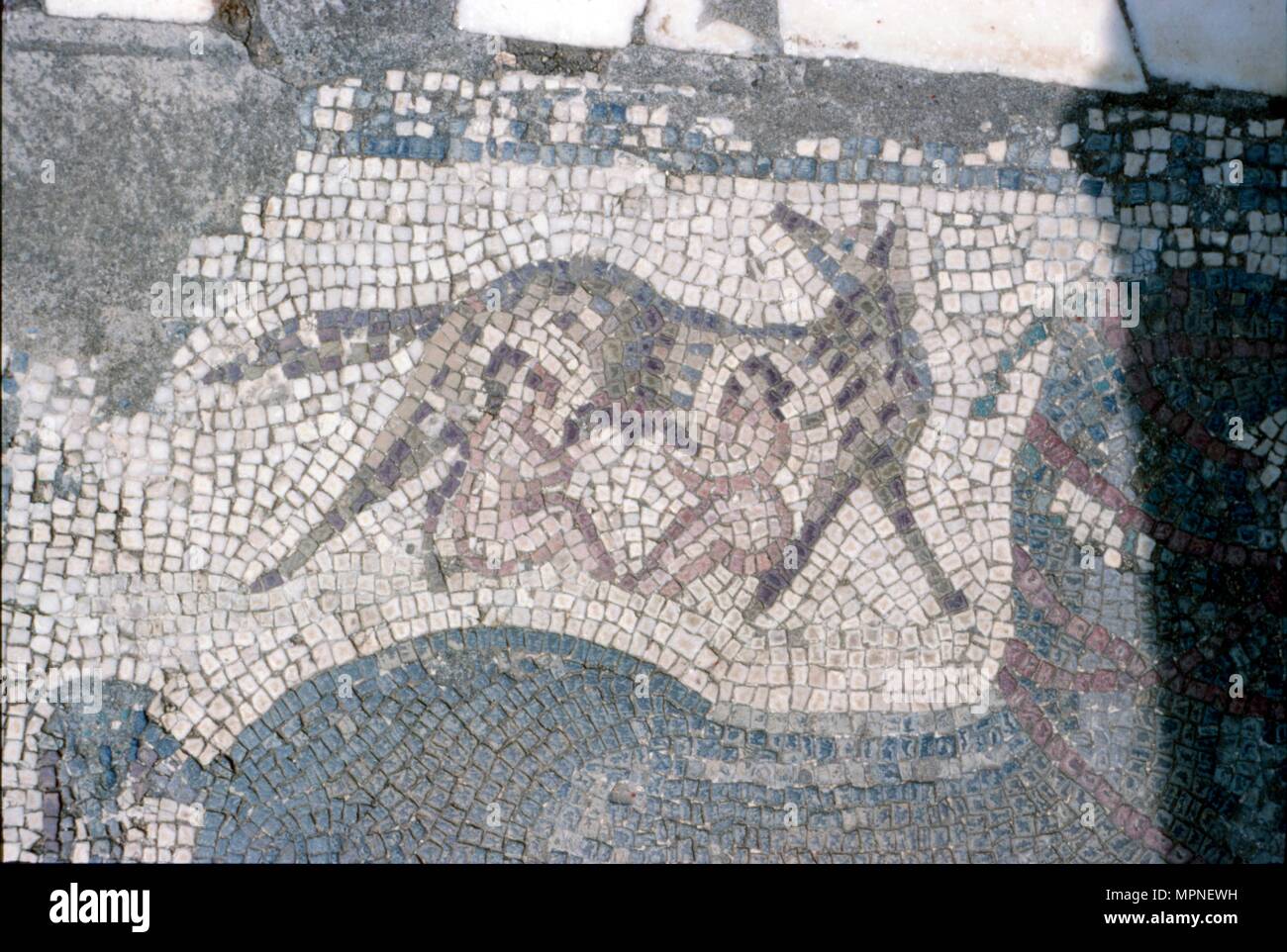 Mosaïque de Romulus, Remus et le loup, Villa romaine, Carthage, Tunisie ...