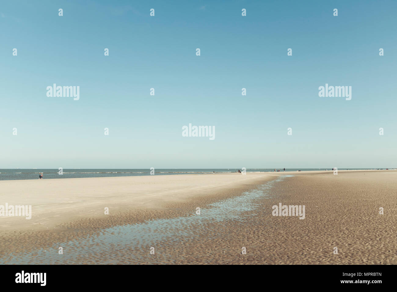 Bas tode Banque de photographies et d’images à haute résolution - Alamy