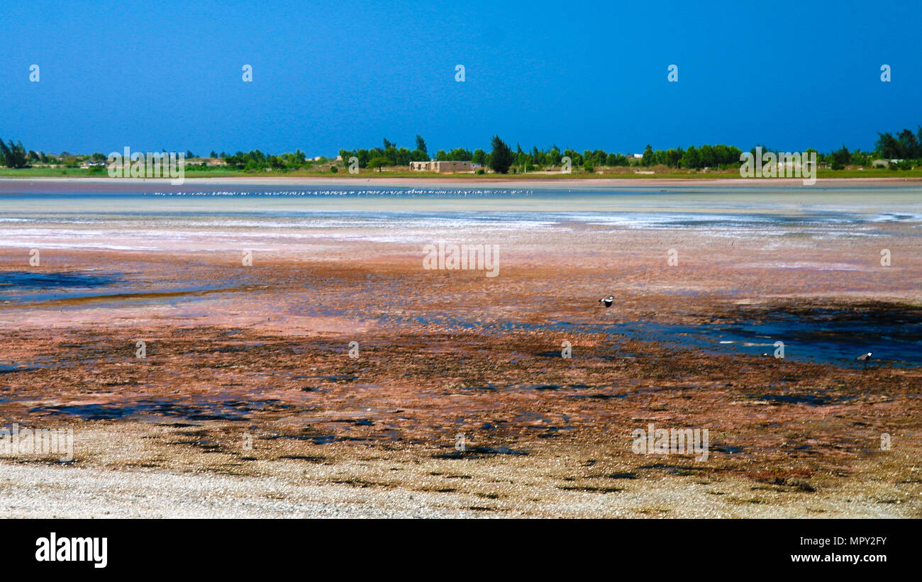 Lac retba Banque de photographies et d’images à haute résolution - Alamy