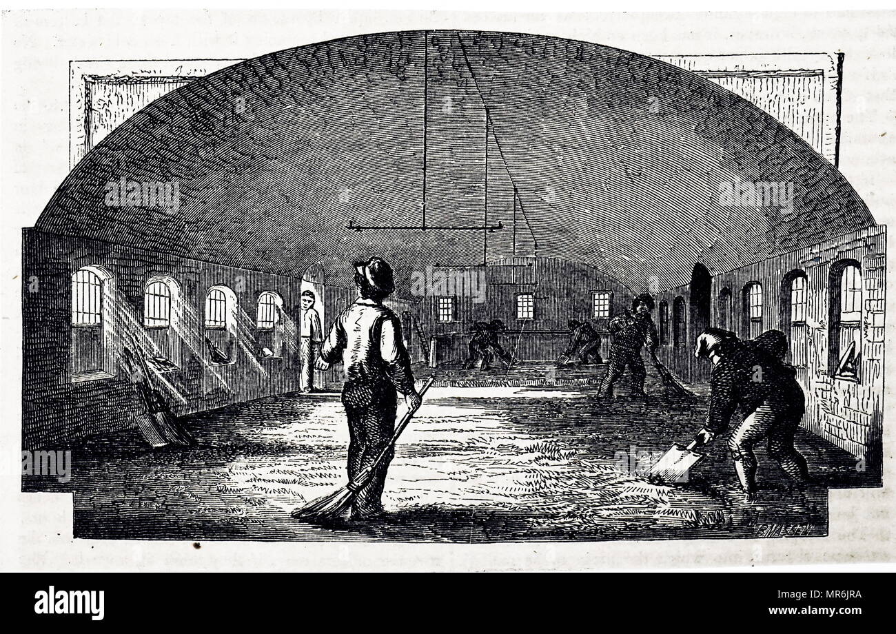 Process of malting barley into malt Banque de photographies et d’images ...