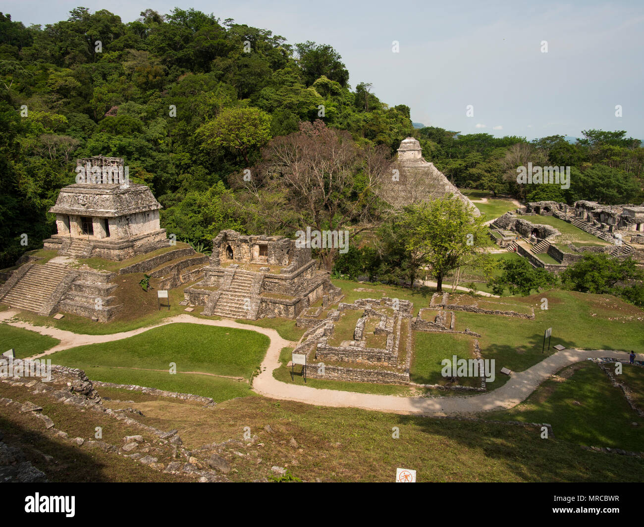 Palenque maya archaeological ruin Banque de photographies et d’images à haute résolution - Alamy