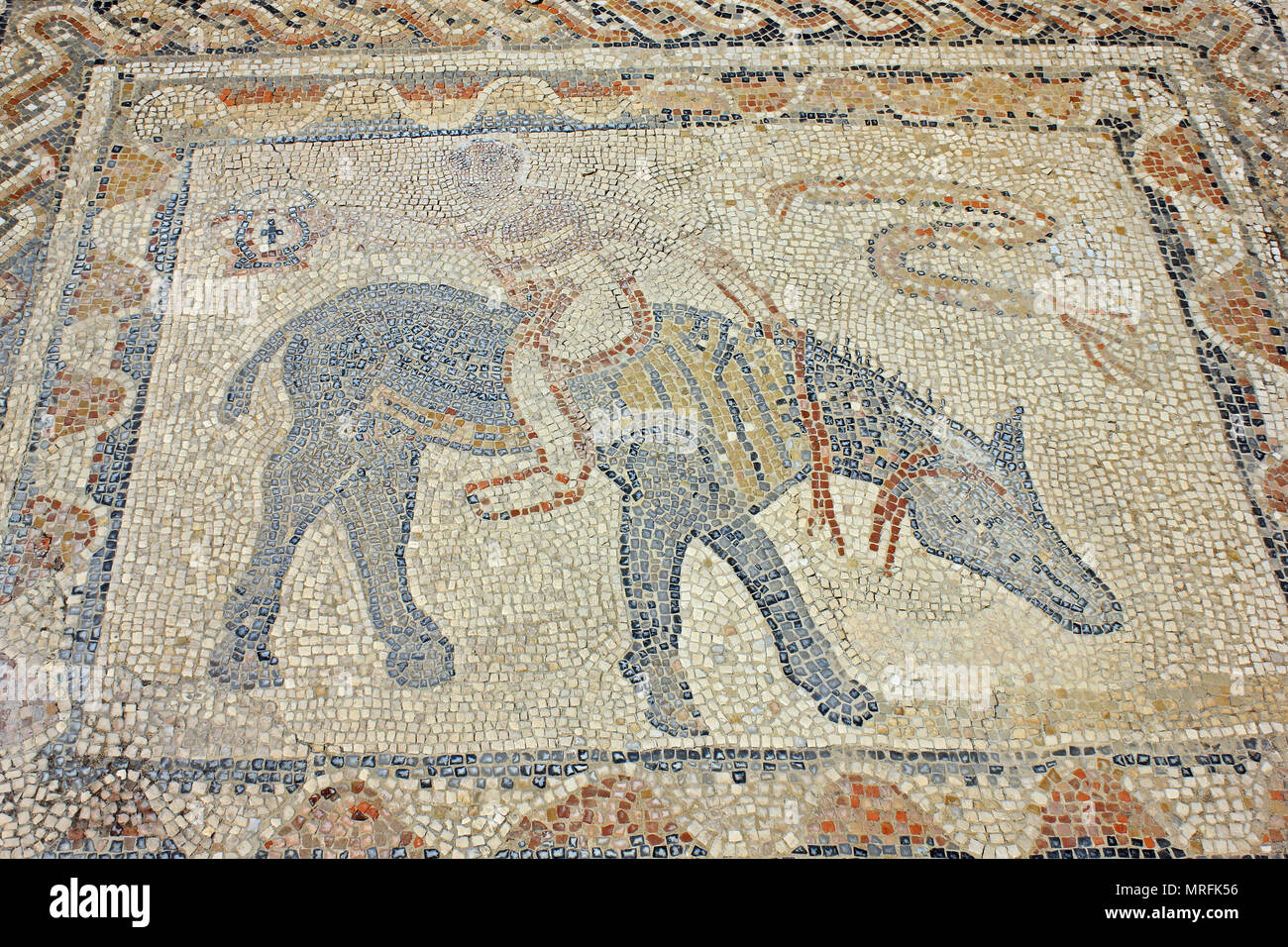 Mosaïque animale africaine africaine Banque de photographies et d ...