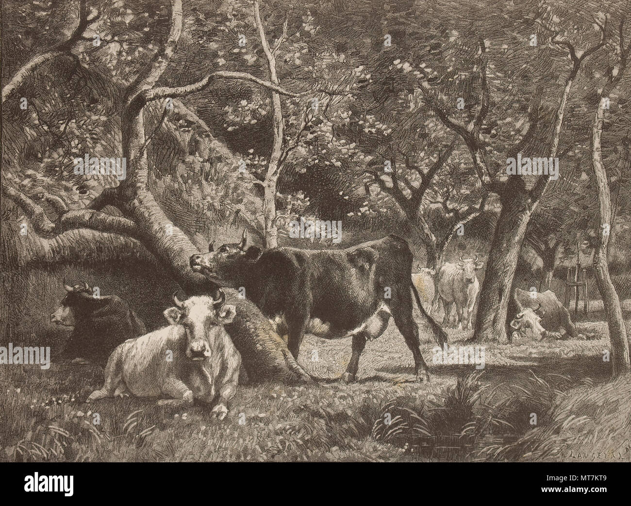 Van marcke Banque de photographies et d’images à haute résolution - Alamy