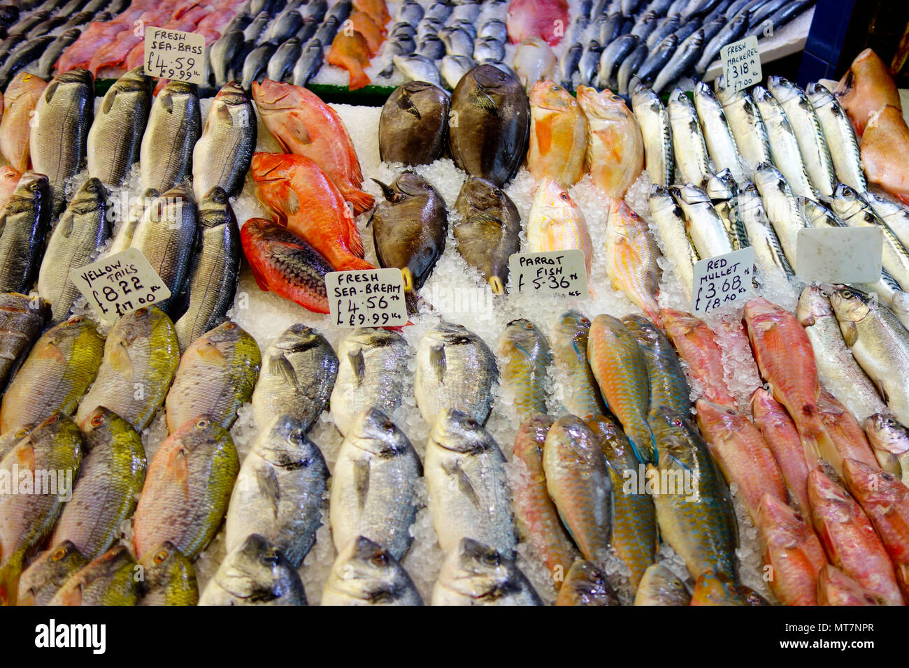 Poisson sur l'affichage à l'étal du marché poissonnier à Brixton ...