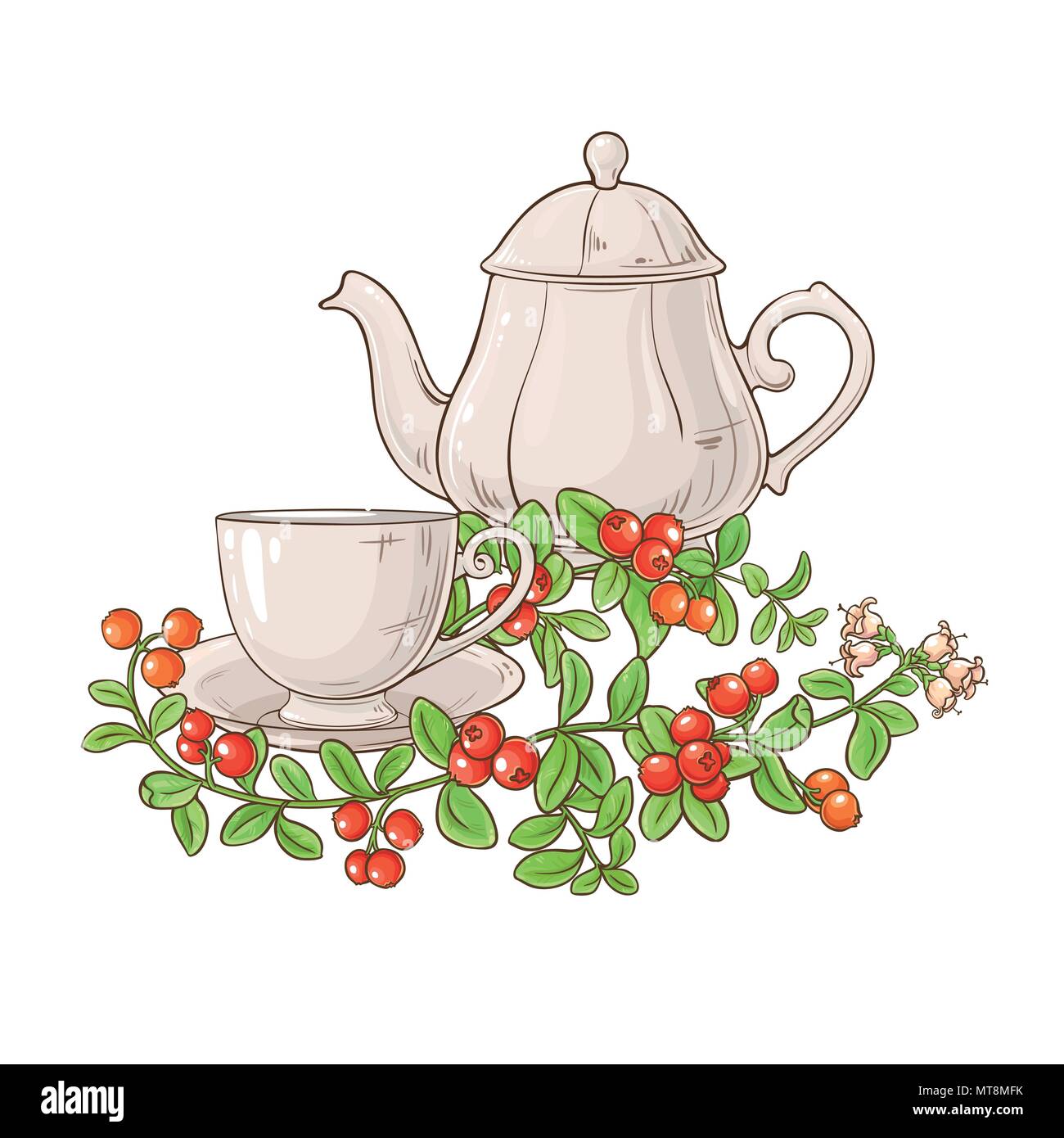 Tisane aux canneberges Banque d'images vectorielles - Alamy