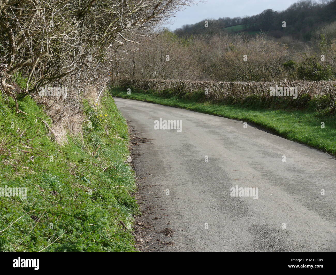 Lifton devon Banque de photographies et d’images à haute résolution - Alamy