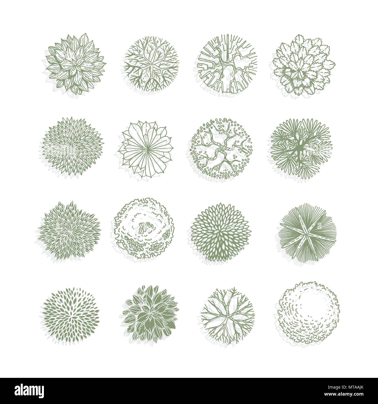 Vue du haut des arbres. Différentes plantes et arbres vector set pour l ...