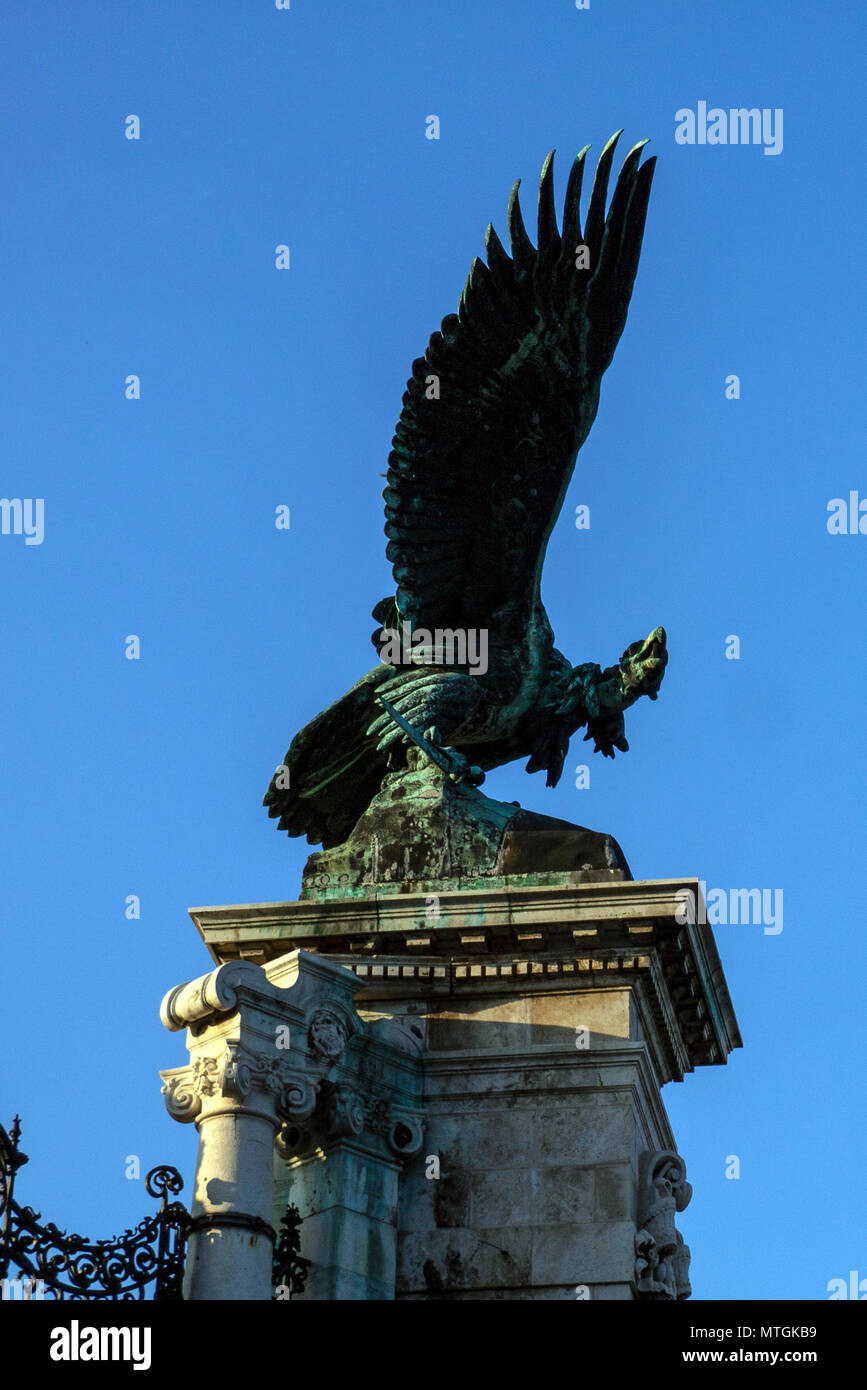 Oiseau turul Banque de photographies et d’images à haute résolution - Alamy