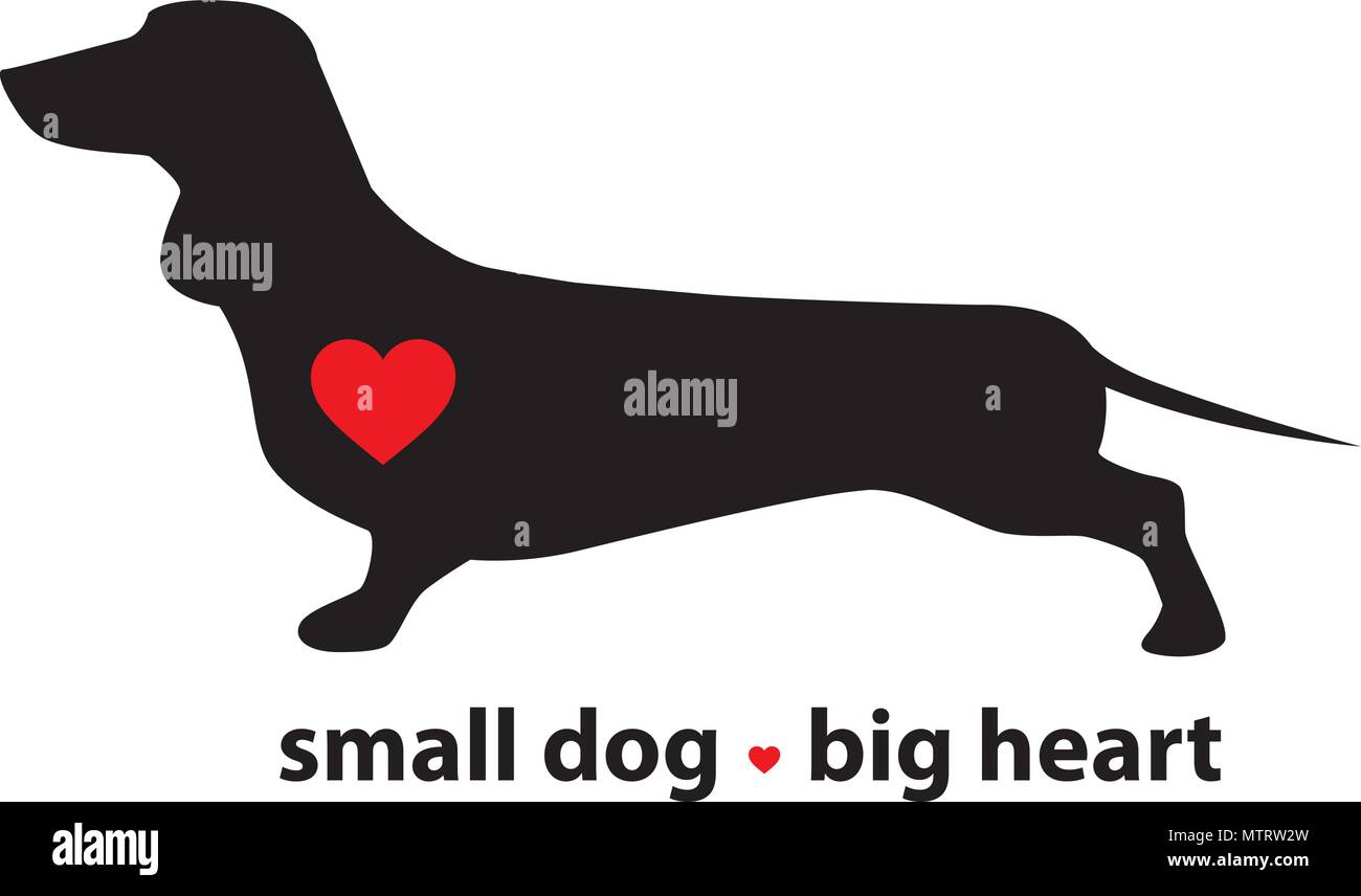 Chien de teckel dessin Banque de photographies et d’images à haute ...