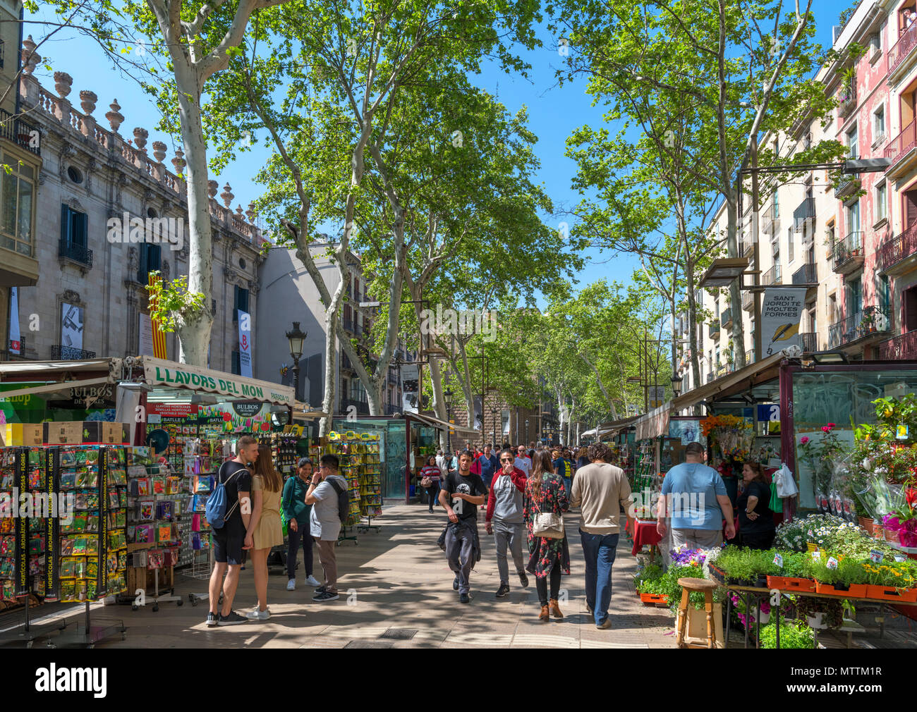 Las Ramblas Barcelona Spain Banque d'image et photos - Alamy