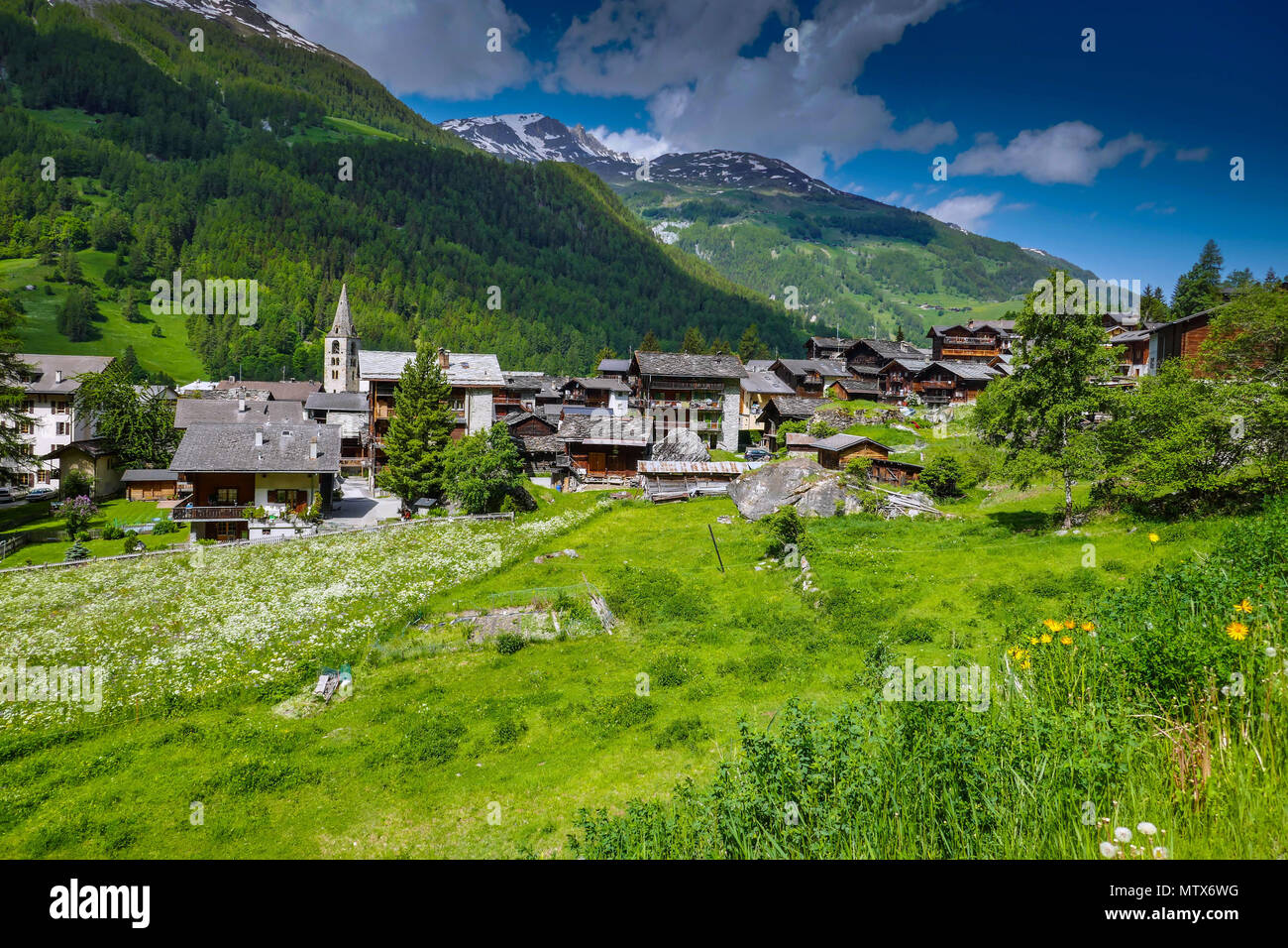 Les prairies alpines avec fleurs et montagnes à Evolene, Val d'Herens ...