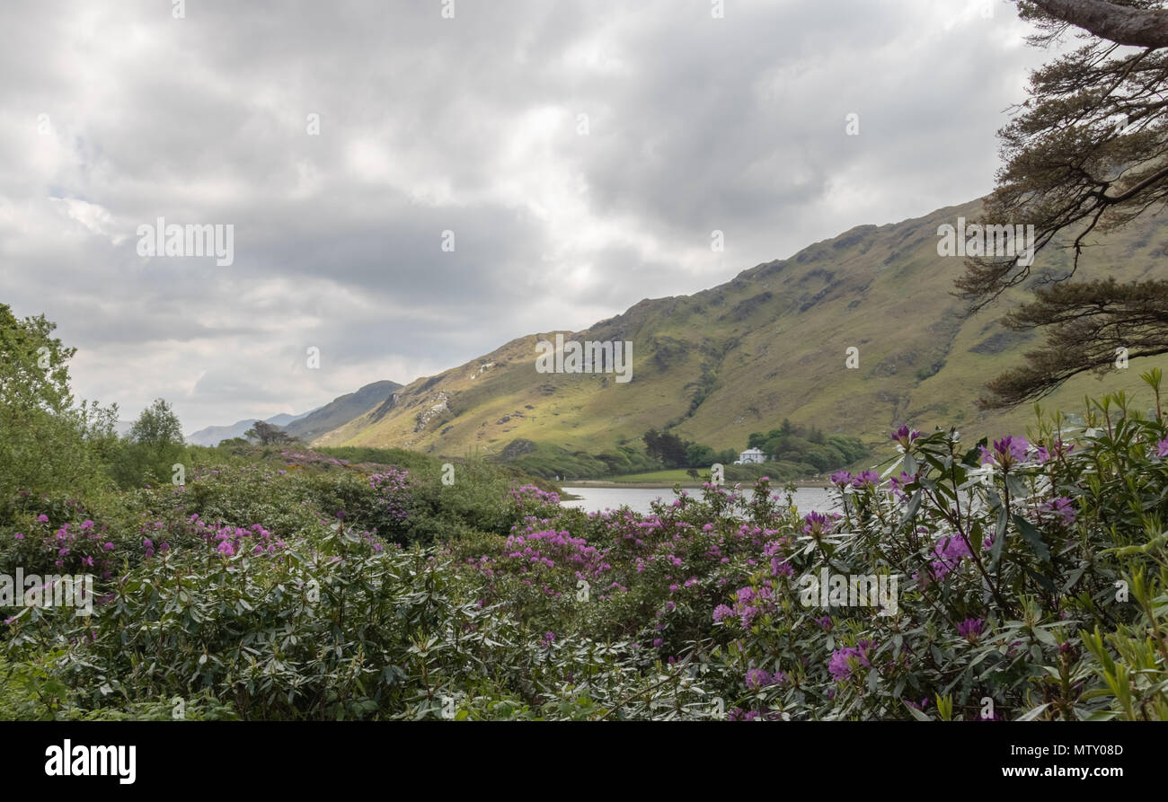 Paisajes naturales escenas rurales Banque de photographies et d’images ...