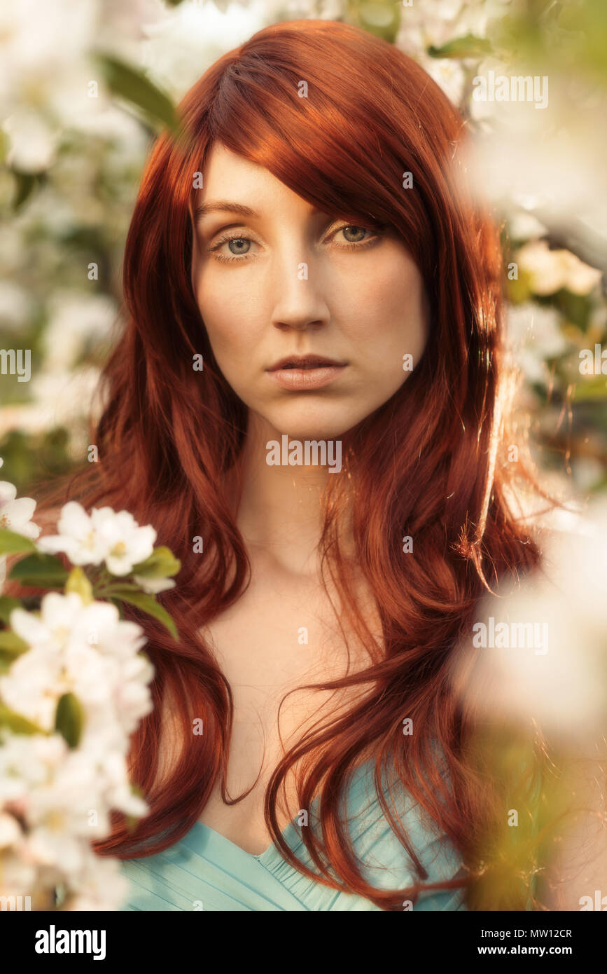 Rotes haar Banque de photographies et d’images à haute résolution ...