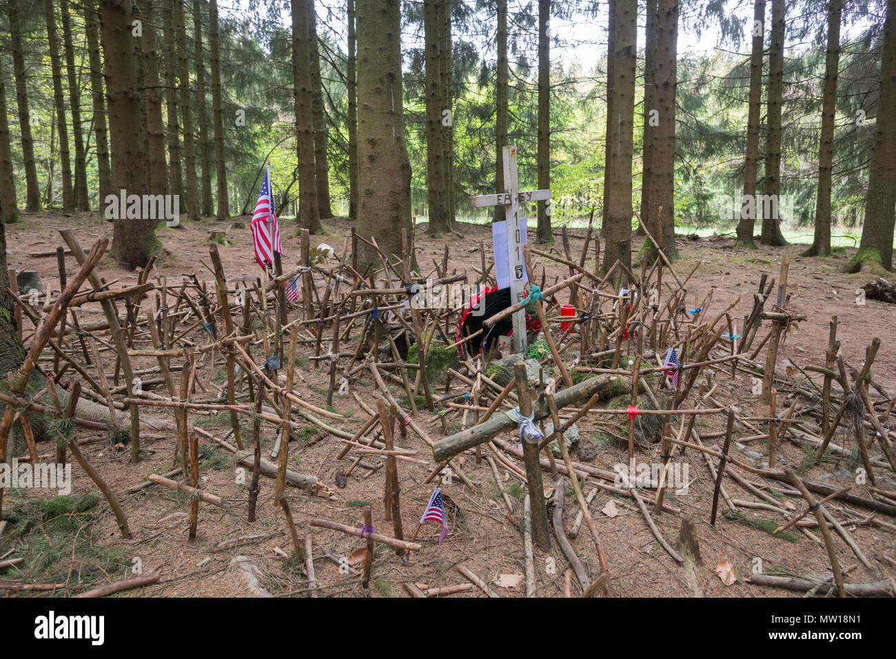 Bois Jacques des trous dans la forêt d'Ardenne près de Foy Belgique ...
