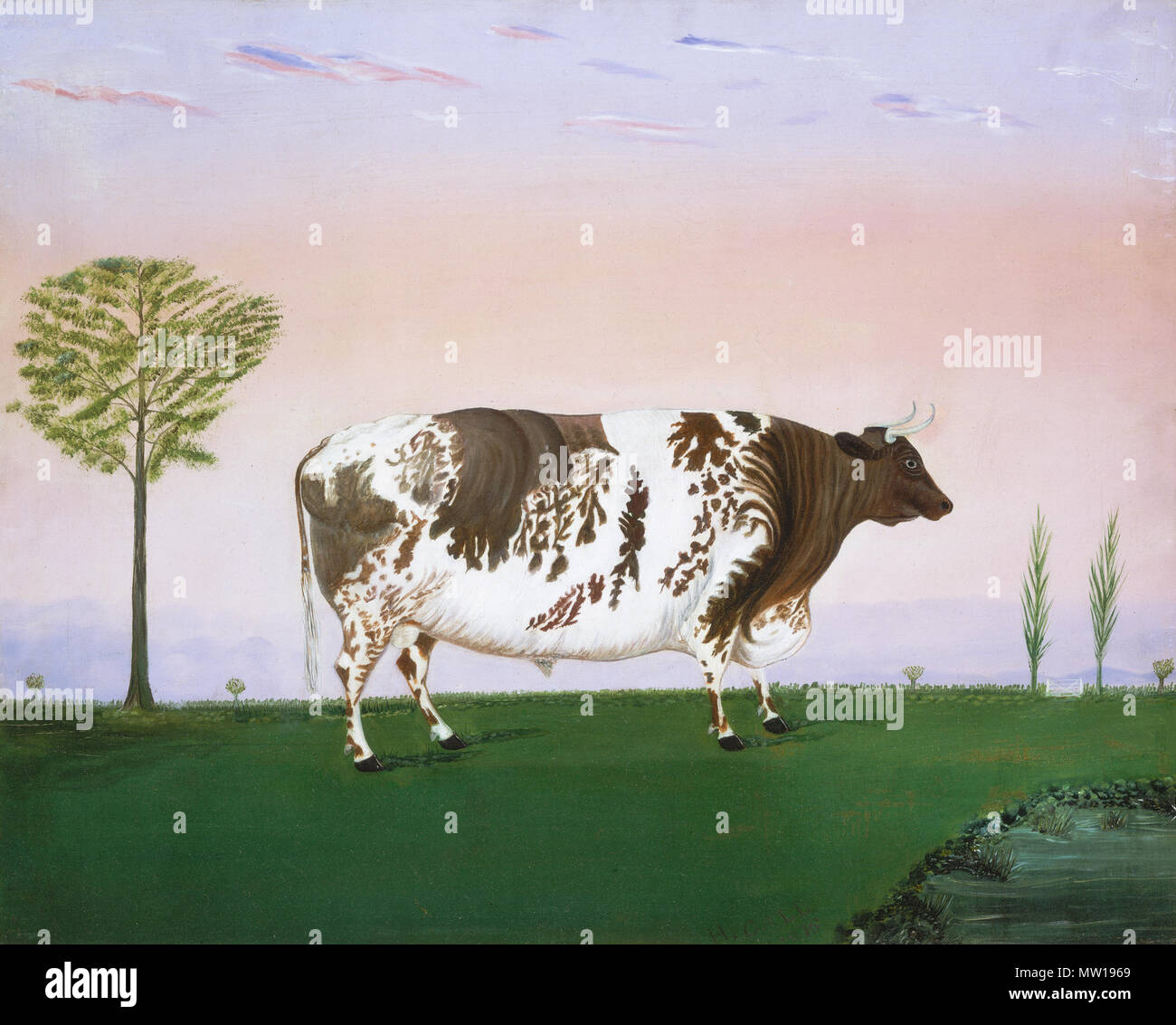 Prize bull Banque de photographies et d’images à haute résolution - Alamy