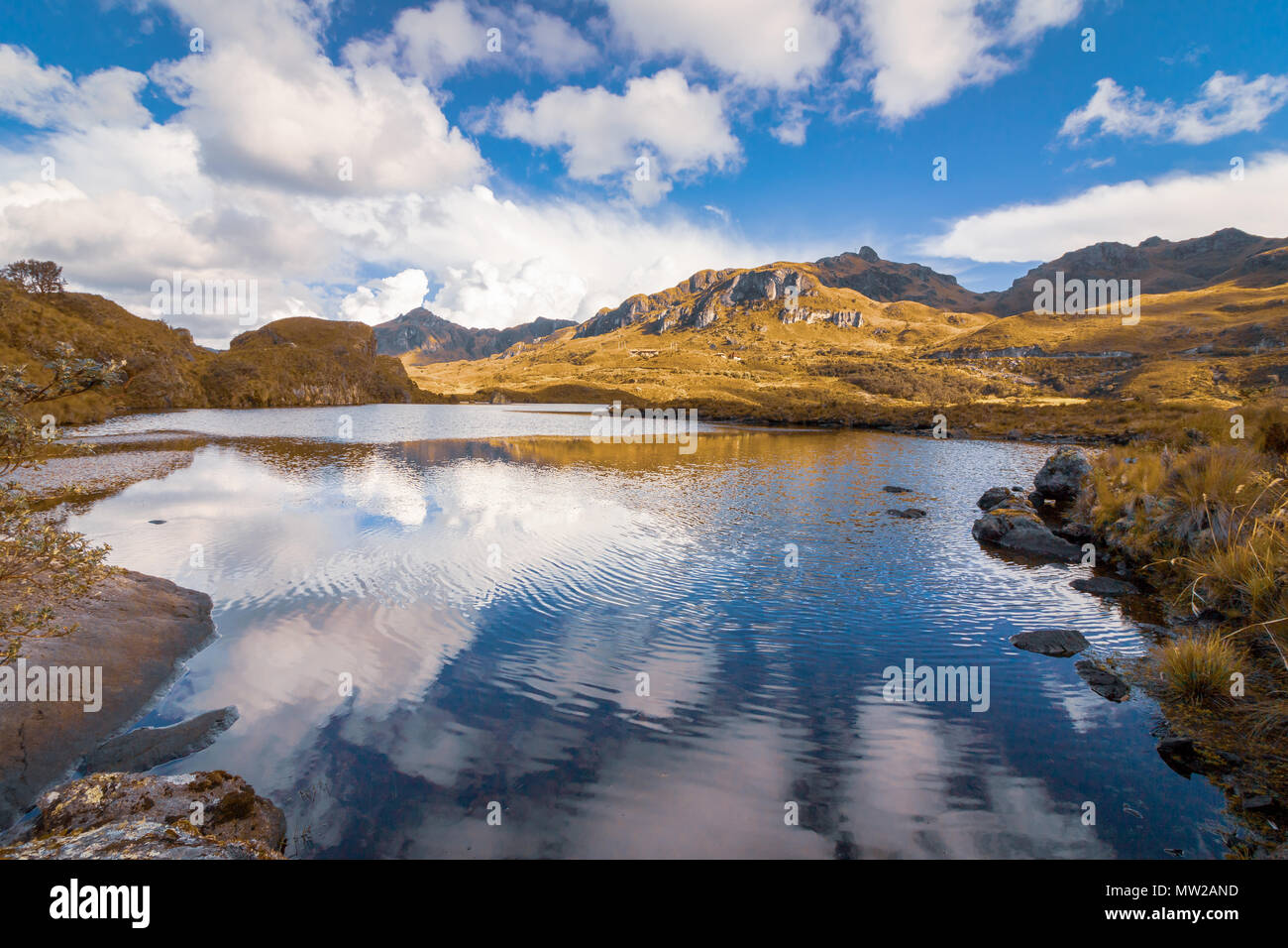 Cuenca ecuador Banque de photographies et d’images à haute résolution ...