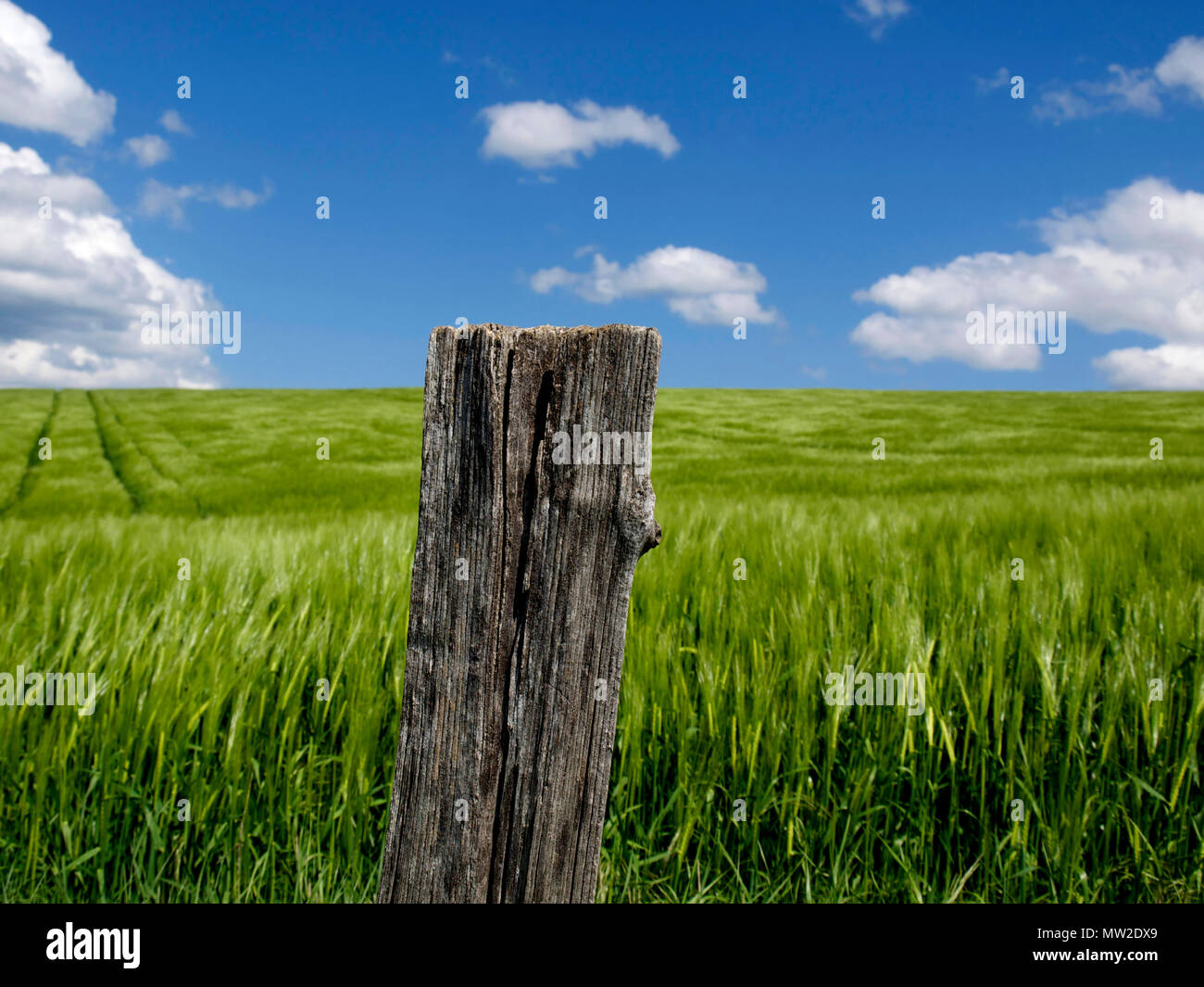 Pieu de bois Banque de photographies et d’images à haute résolution - Alamy